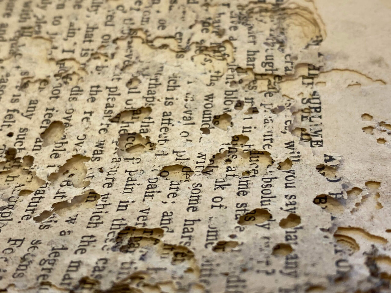 Emergency Care-Bookworms-Insect Infestation in Books